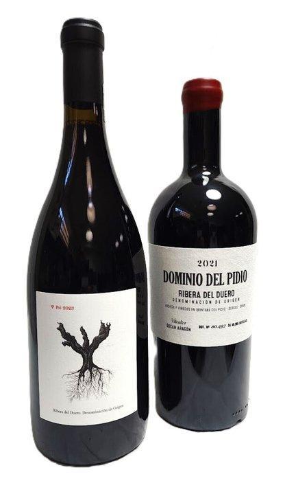 ≥ 2023 Psi Dominio de Pingus & 2021 Dominio del Pidio - Ribera — Wijnen ...