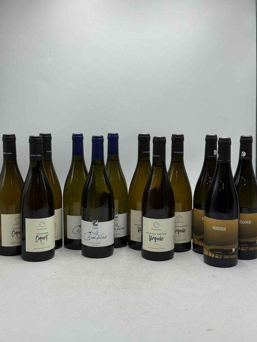 ≥ 2024 Viognier Bruyere David - Gerin La Champine Viognier — Wijnen ...